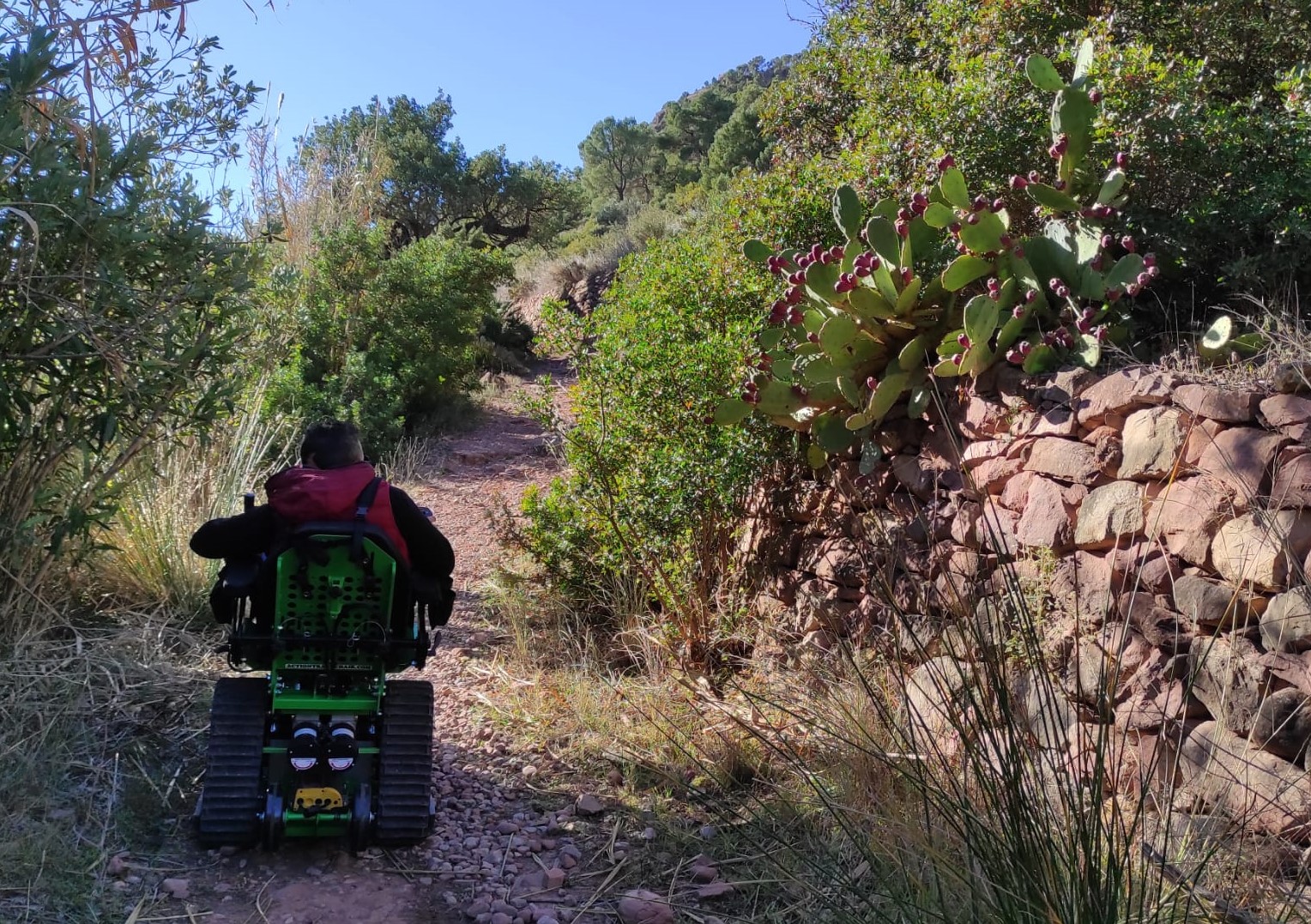 Serra promotes accessible and inclusive tourism in the heart of ...